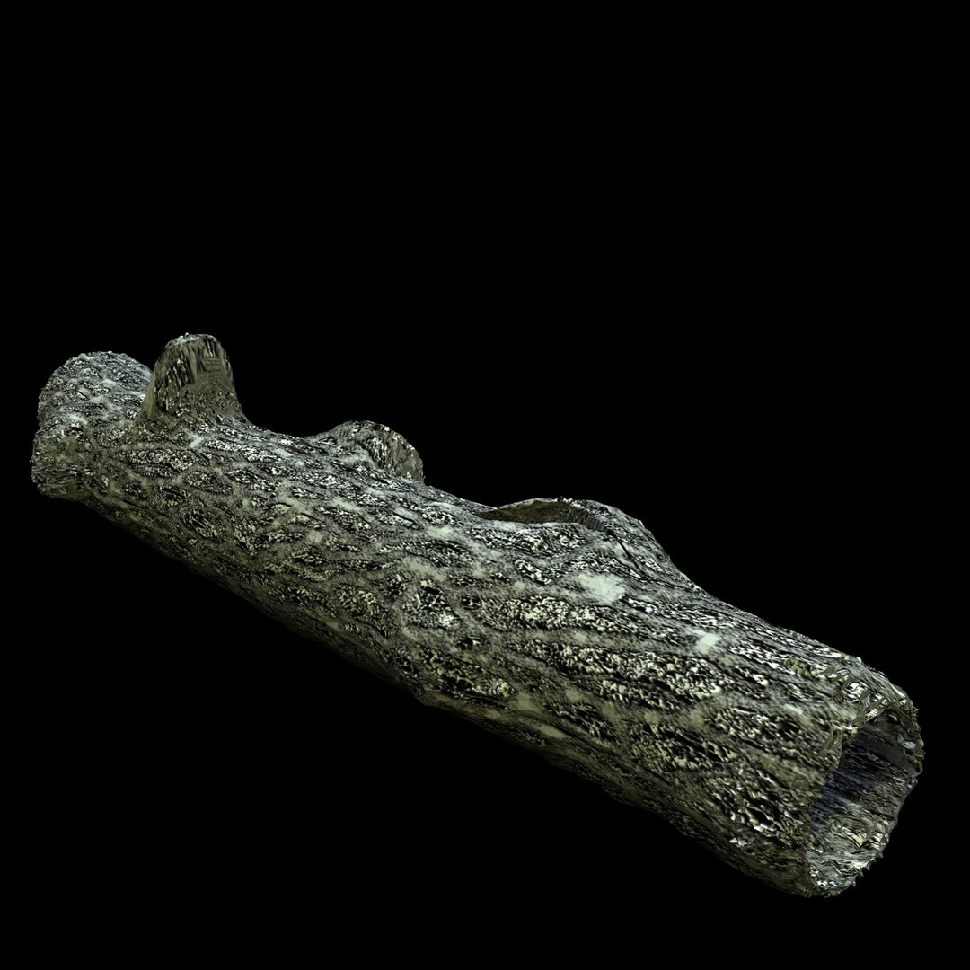 3ds Hollow Old Tree Trunk