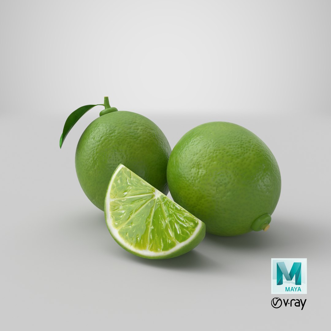 3D realistic small lime - TurboSquid 1301152