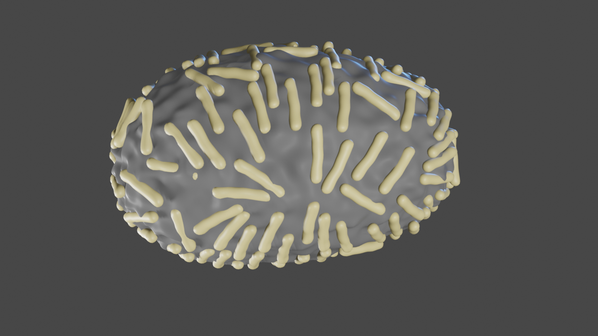 3D Monkeypox PBR Blender And Other Virus Pocken - TurboSquid 1900035