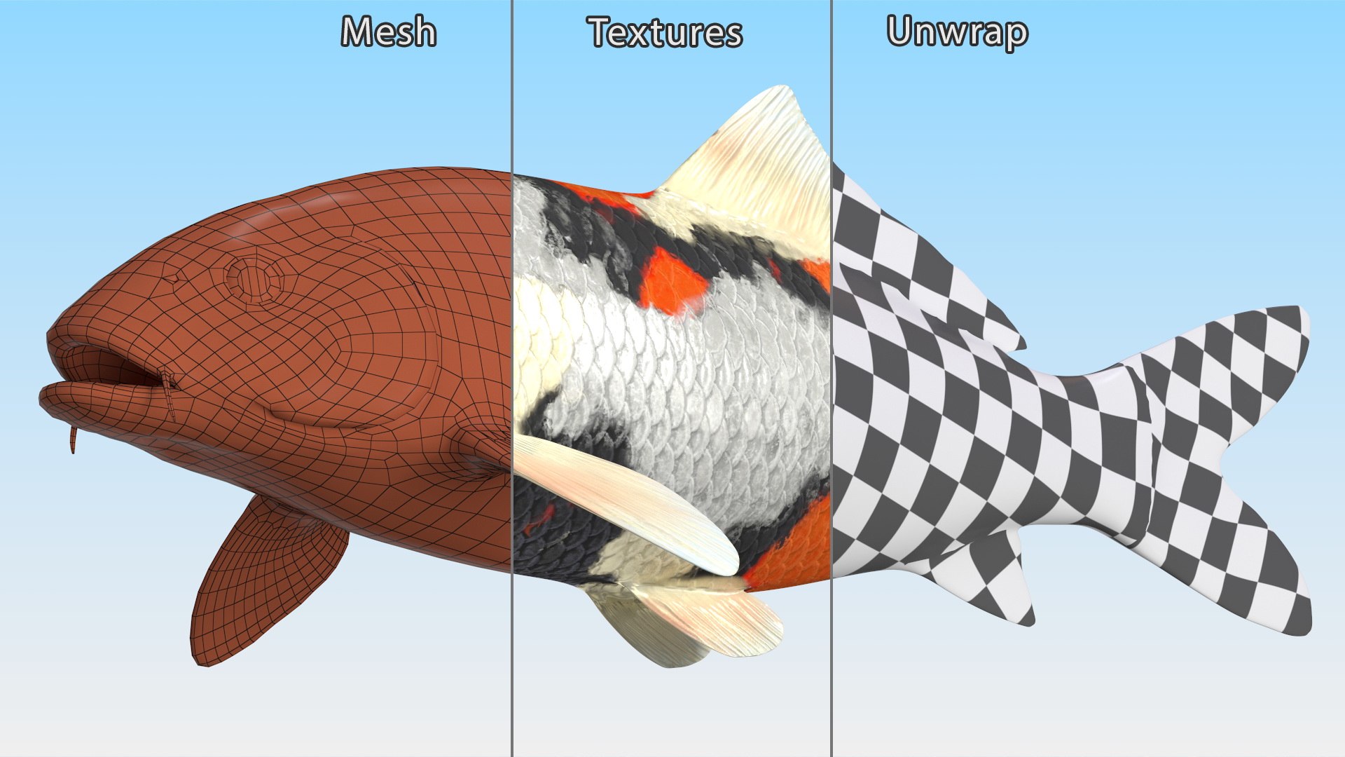 Harivake Koi Fish Model - TurboSquid 2144139