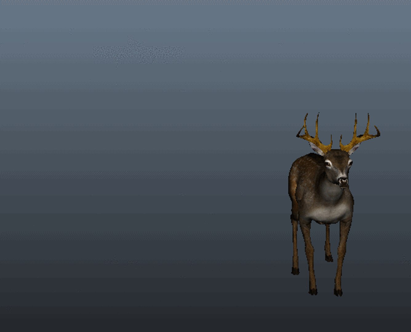 3d deer animation model