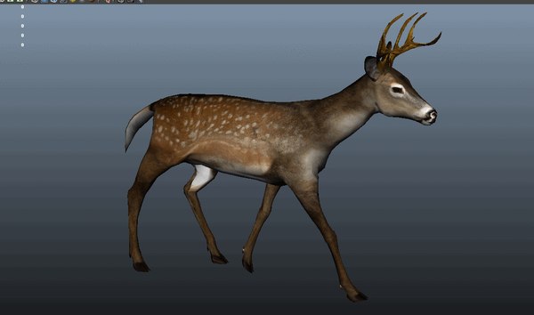 3d deer animation model