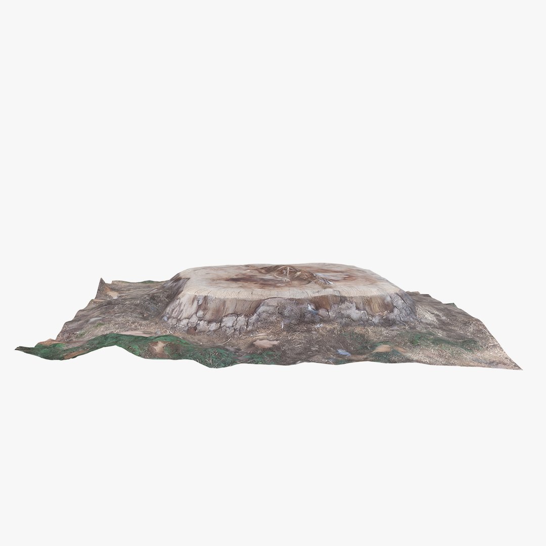 3D trunk scan - TurboSquid 1607834