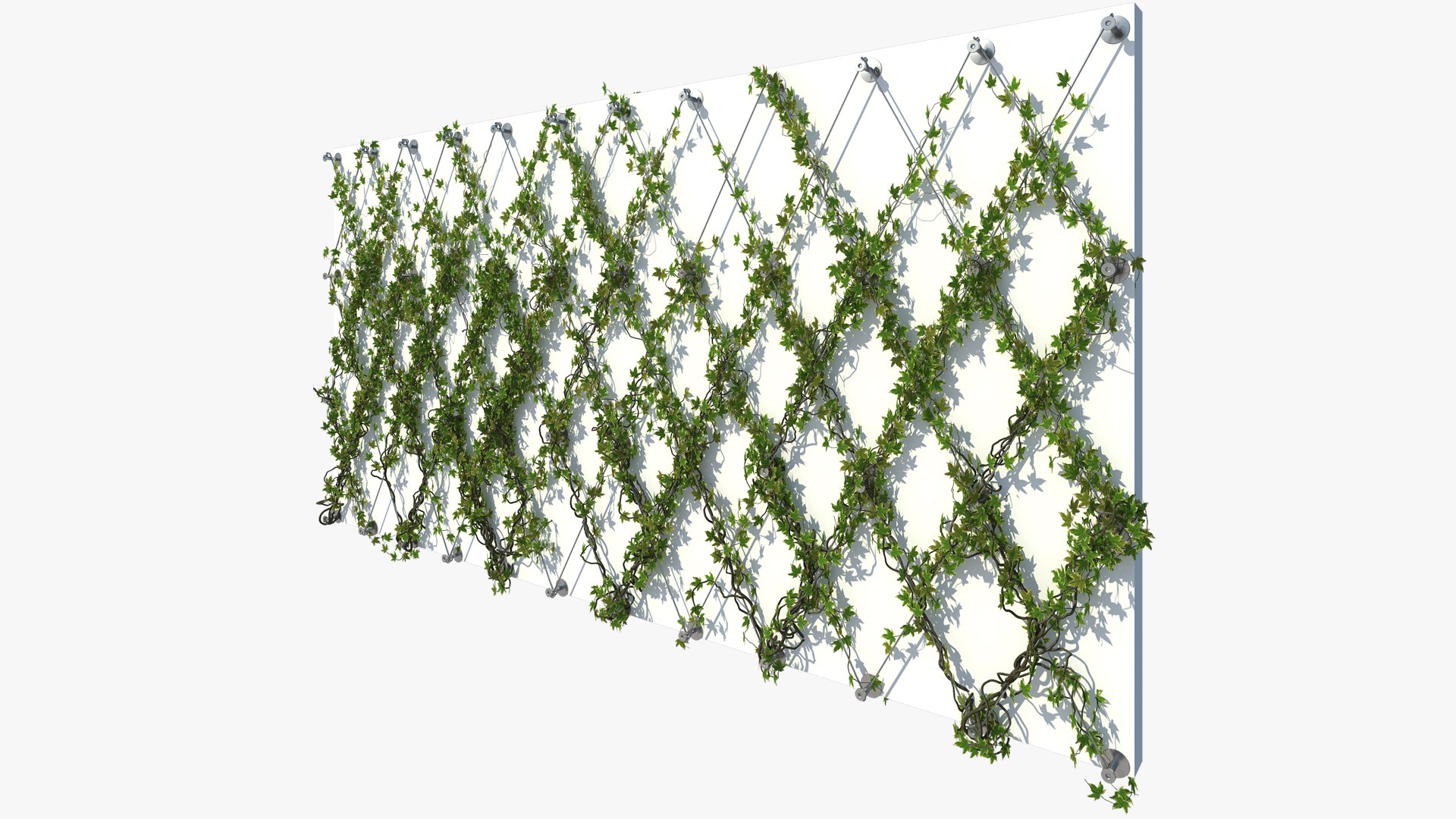 3D Ivy Wall 10 - TurboSquid 1805734