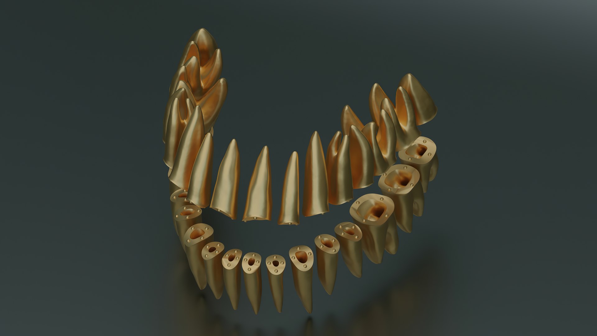 Dental Anatomy And Root Structures 3D Model - TurboSquid 2047768