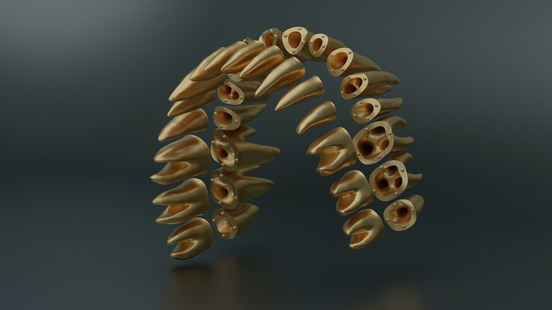 Dental Anatomy And Root Structures 3D Model - TurboSquid 2047768