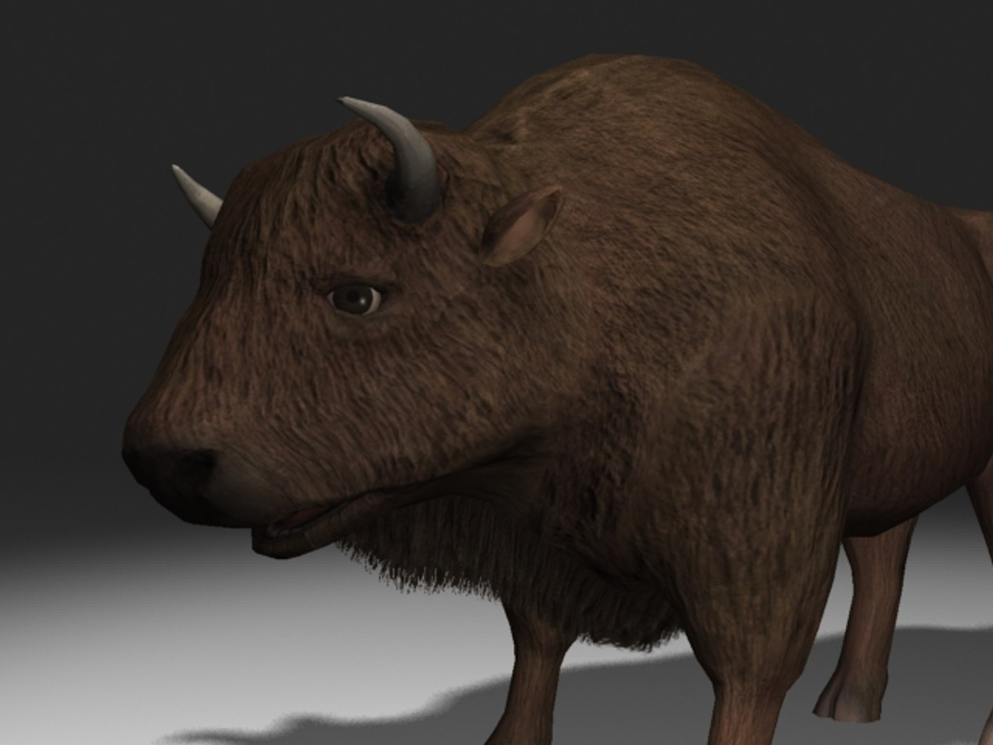 Buffalo Animation 3ds