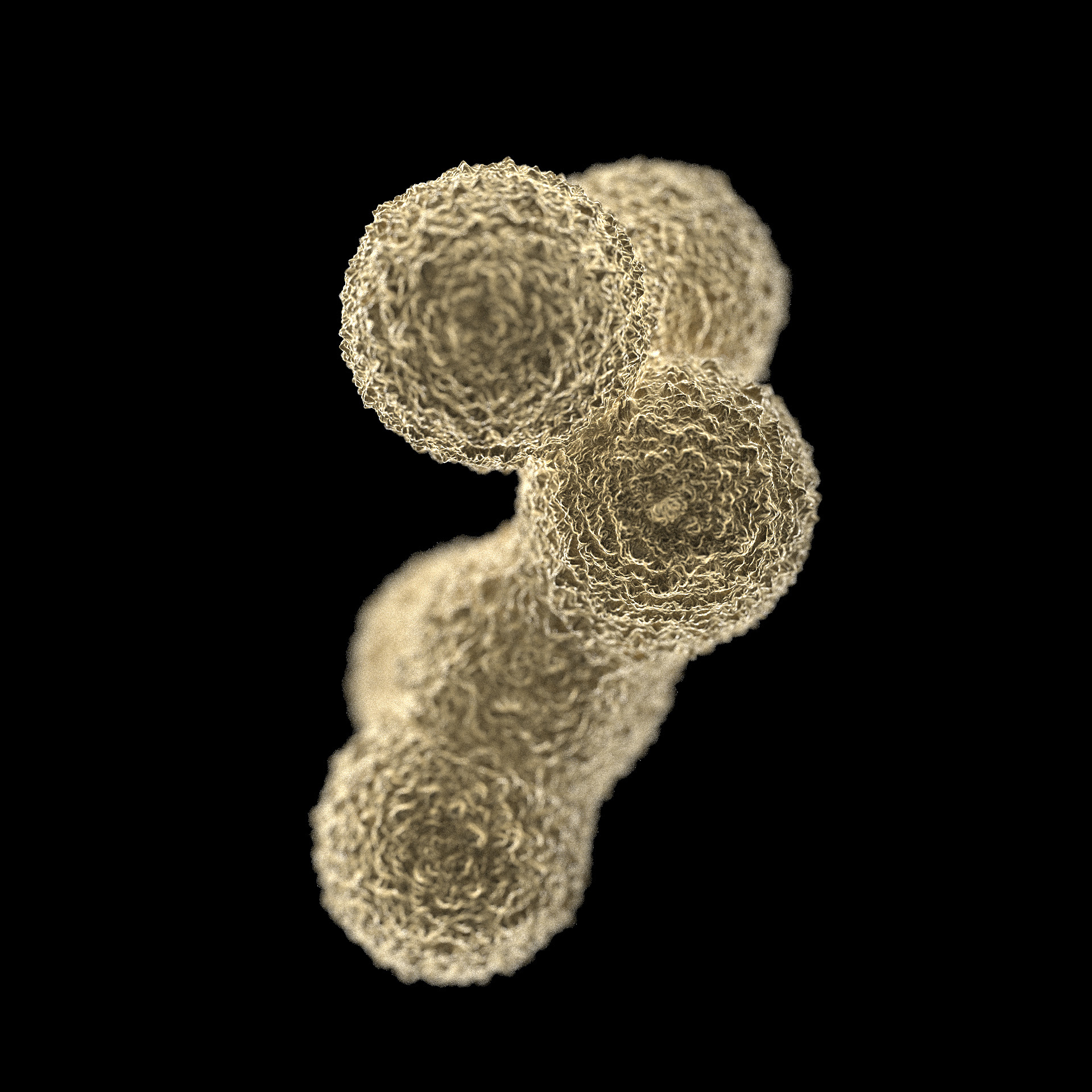 Staph - Staphylococcus Aureus Modelo 3D - TurboSquid 1626202