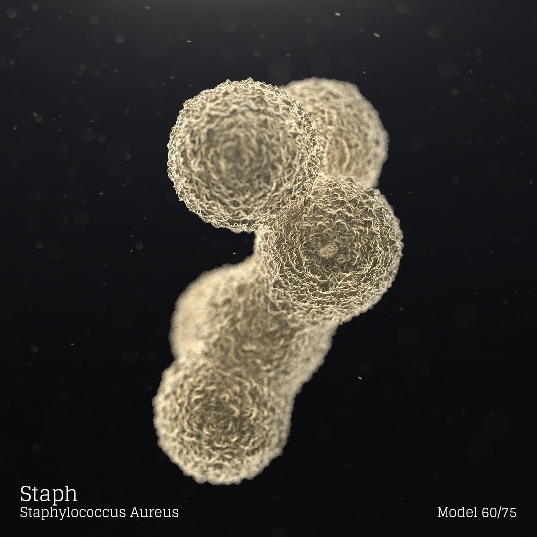 3D Microbes Bacteria Cells Model - TurboSquid 1626202