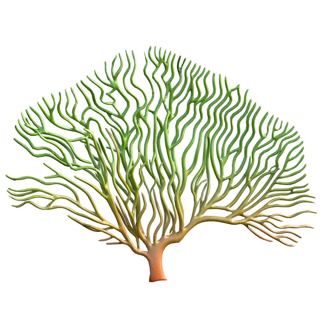3D Seaweed 3 - TurboSquid 2457276