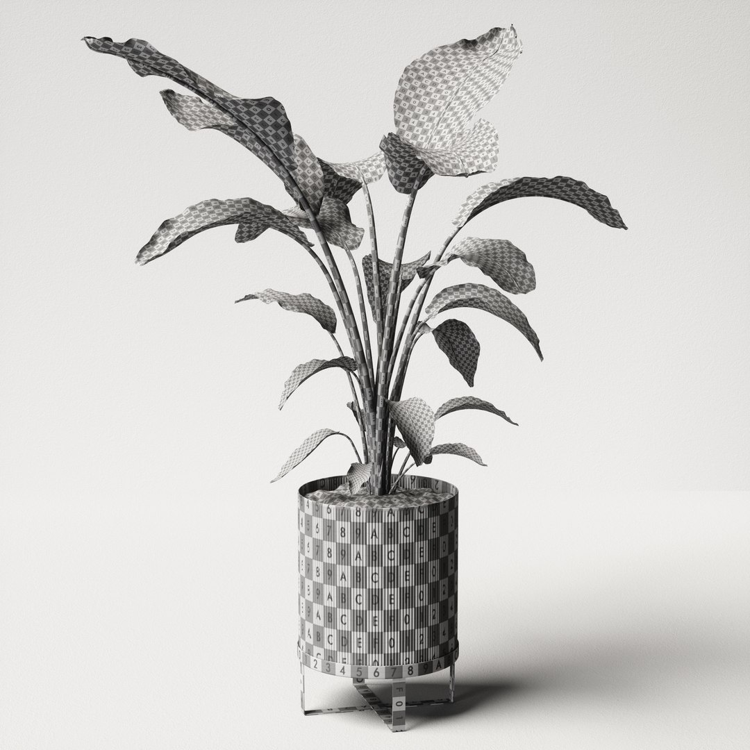 Strelitzia Plant 3D Model - TurboSquid 1285543