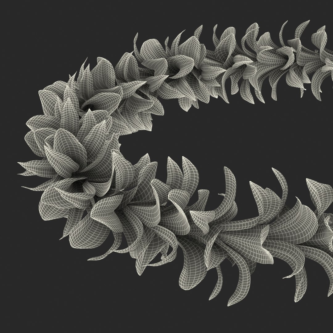 3d Hawaiian Lei 4 Model