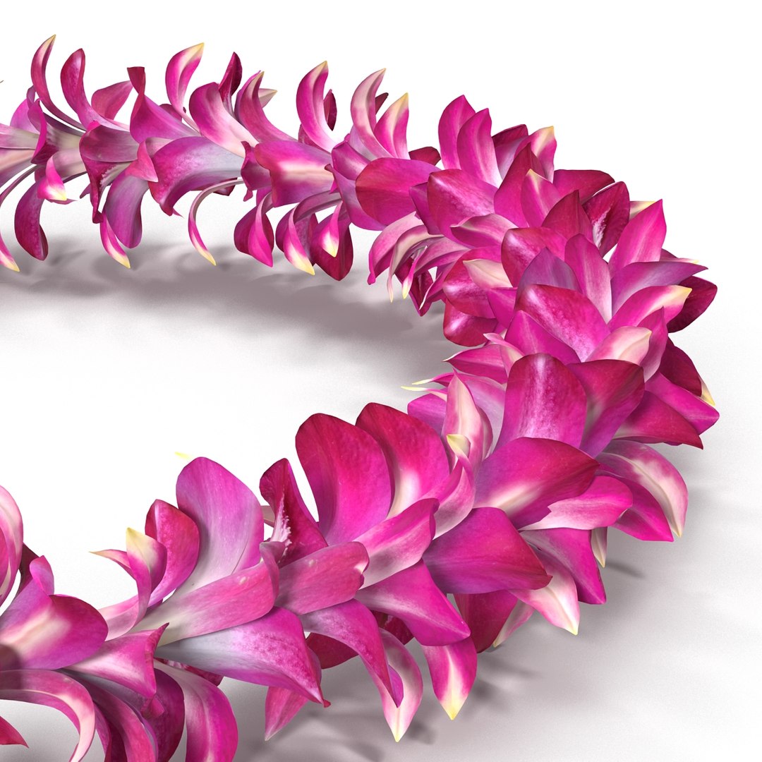 3d Hawaiian Lei 4 Model