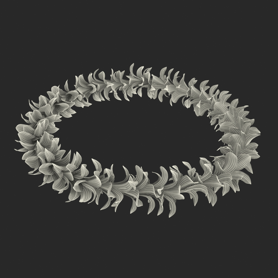 3d Hawaiian Lei 4 Model