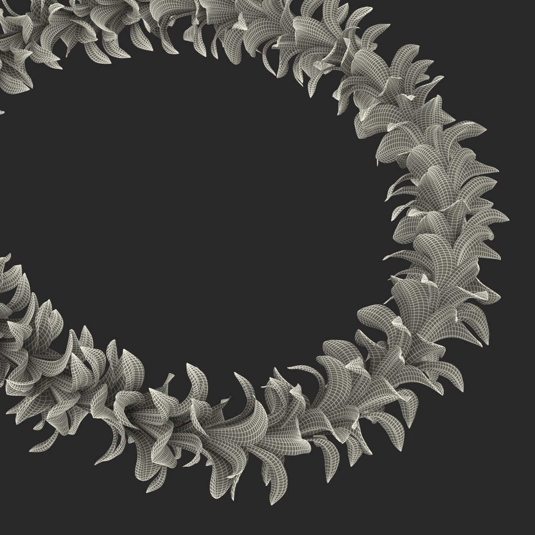 3d Hawaiian Lei 4 Model