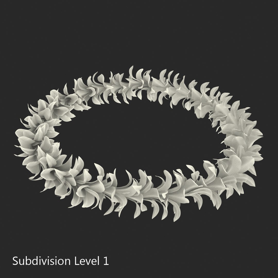 3d Hawaiian Lei 4 Model