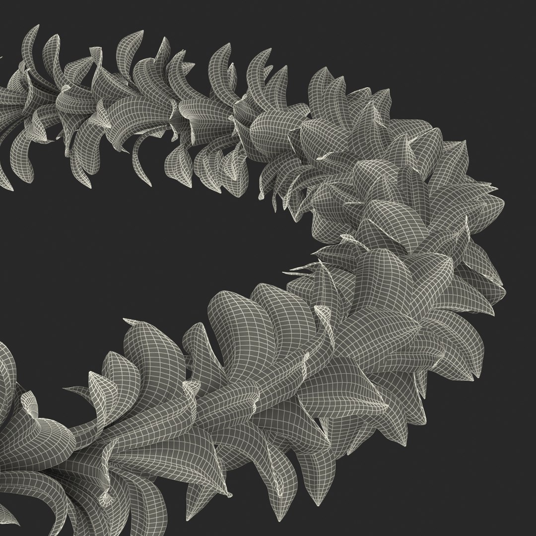 3d Hawaiian Lei 4 Model