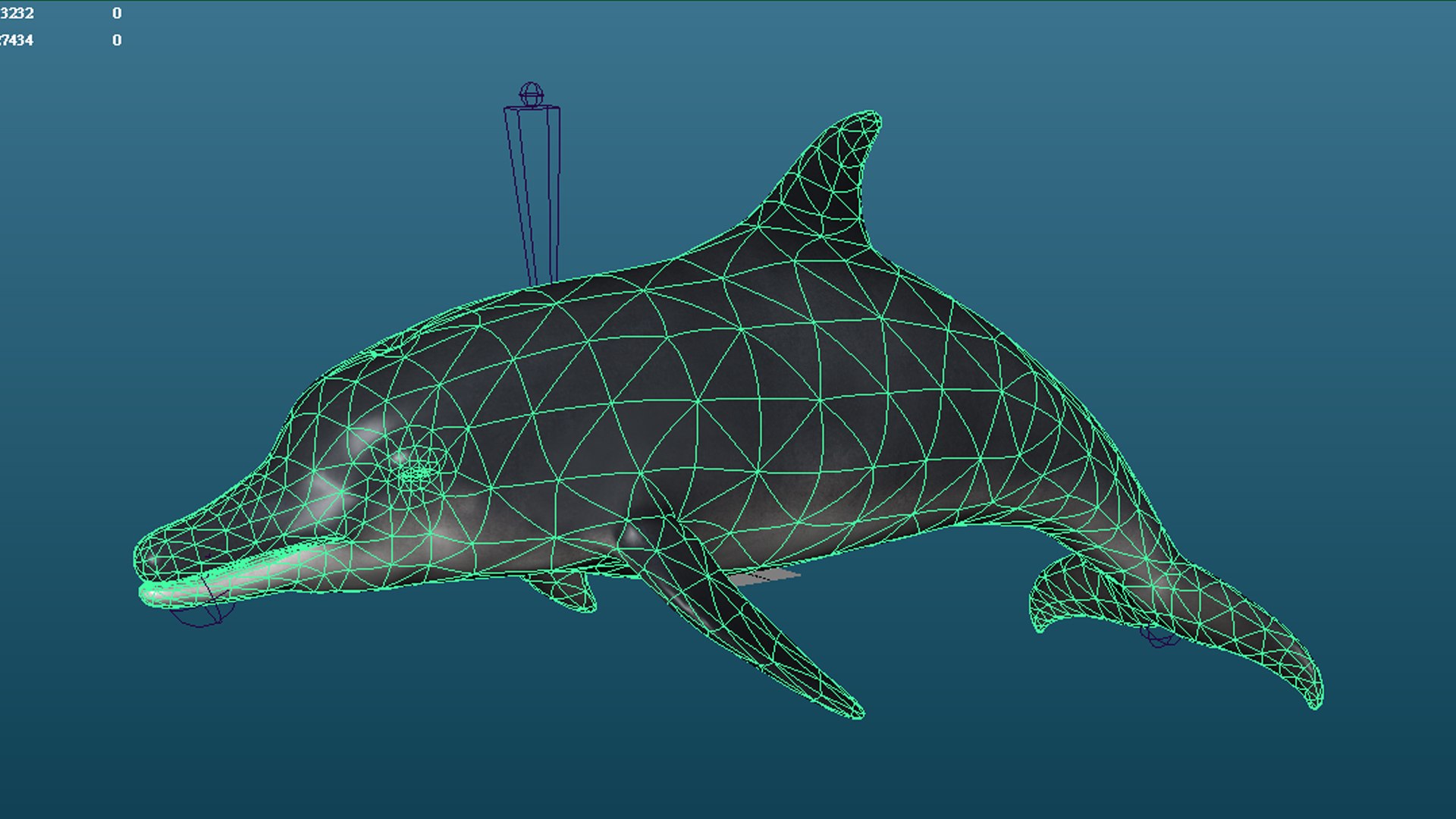 Dolphin 3D Model - TurboSquid 2192188
