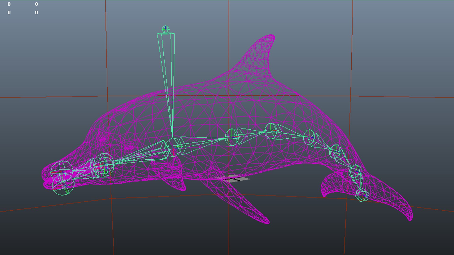 Dolphin 3D Model - TurboSquid 2192188
