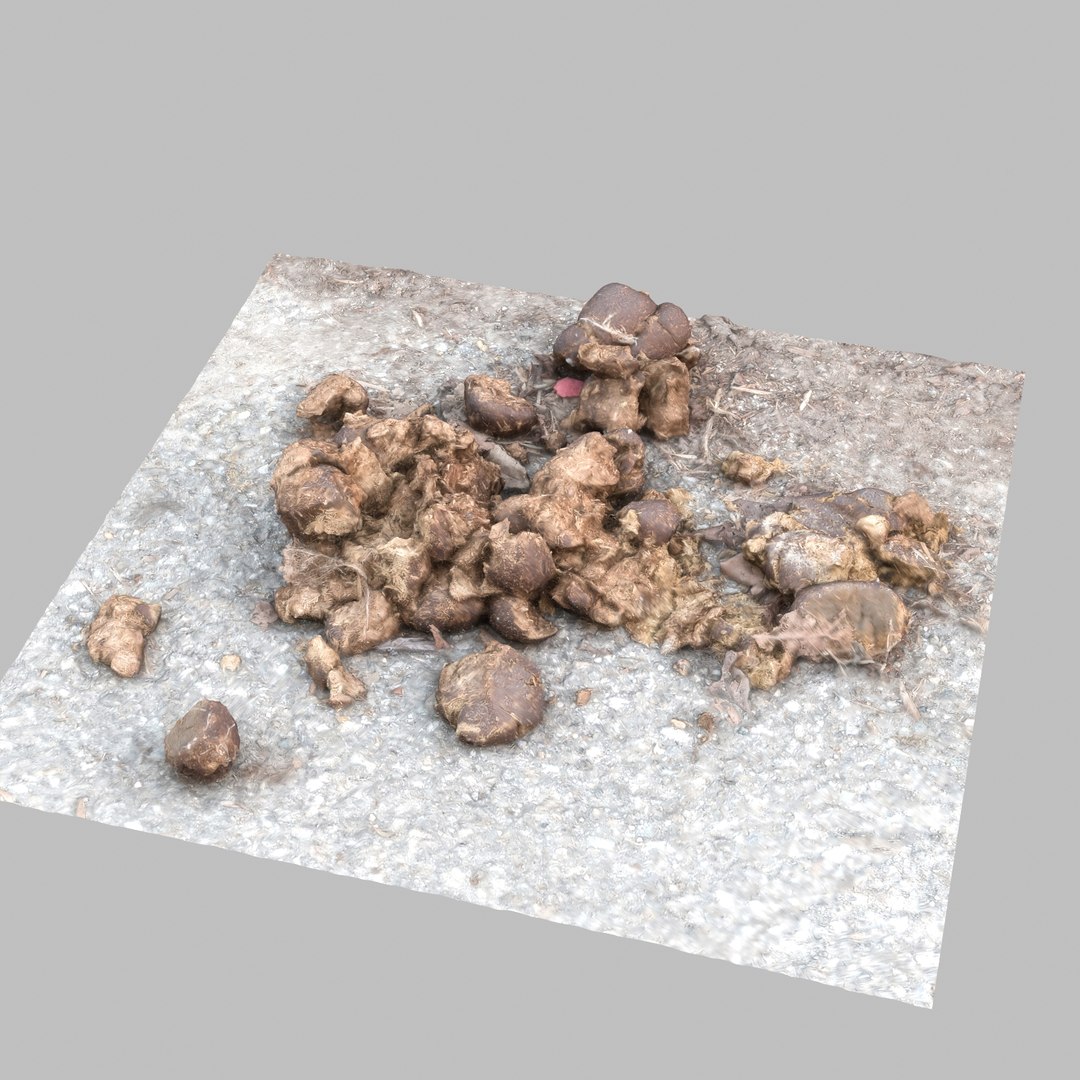 3D Poop Poo Horse - TurboSquid 1372525