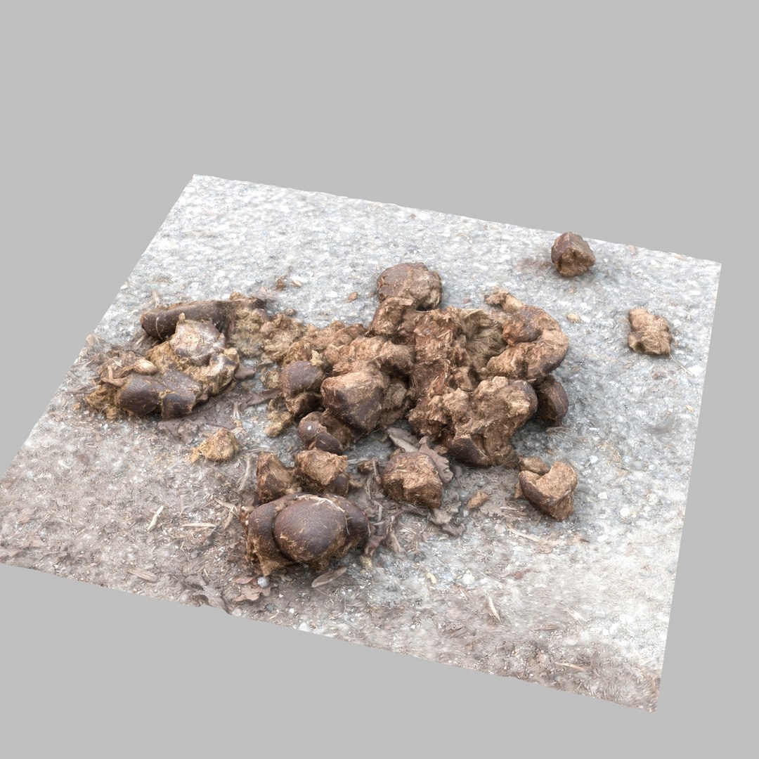 3D Poop Poo Horse - TurboSquid 1372525