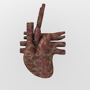 Human Heart Blender Models for Download | TurboSquid