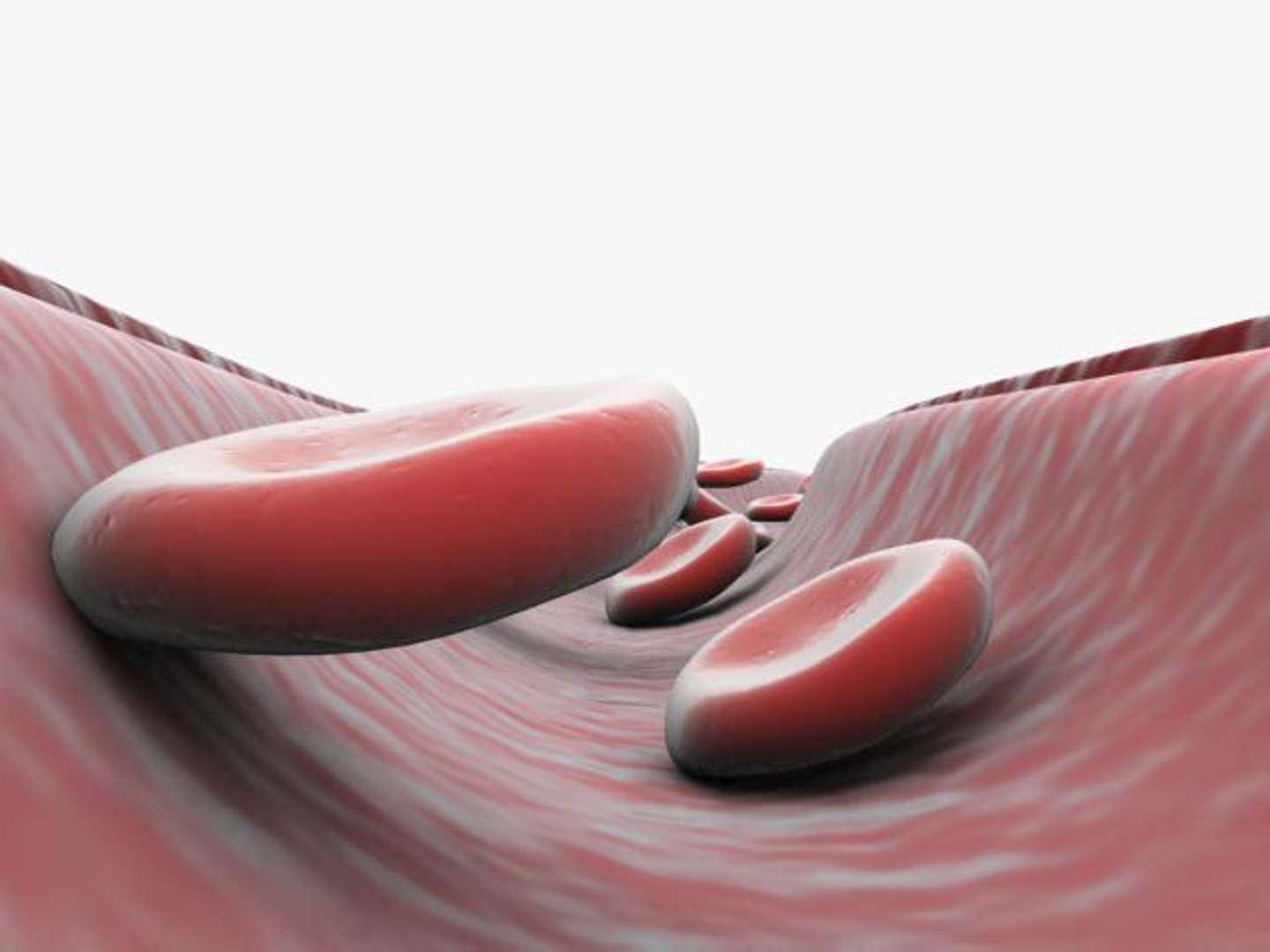 3d model artery animation