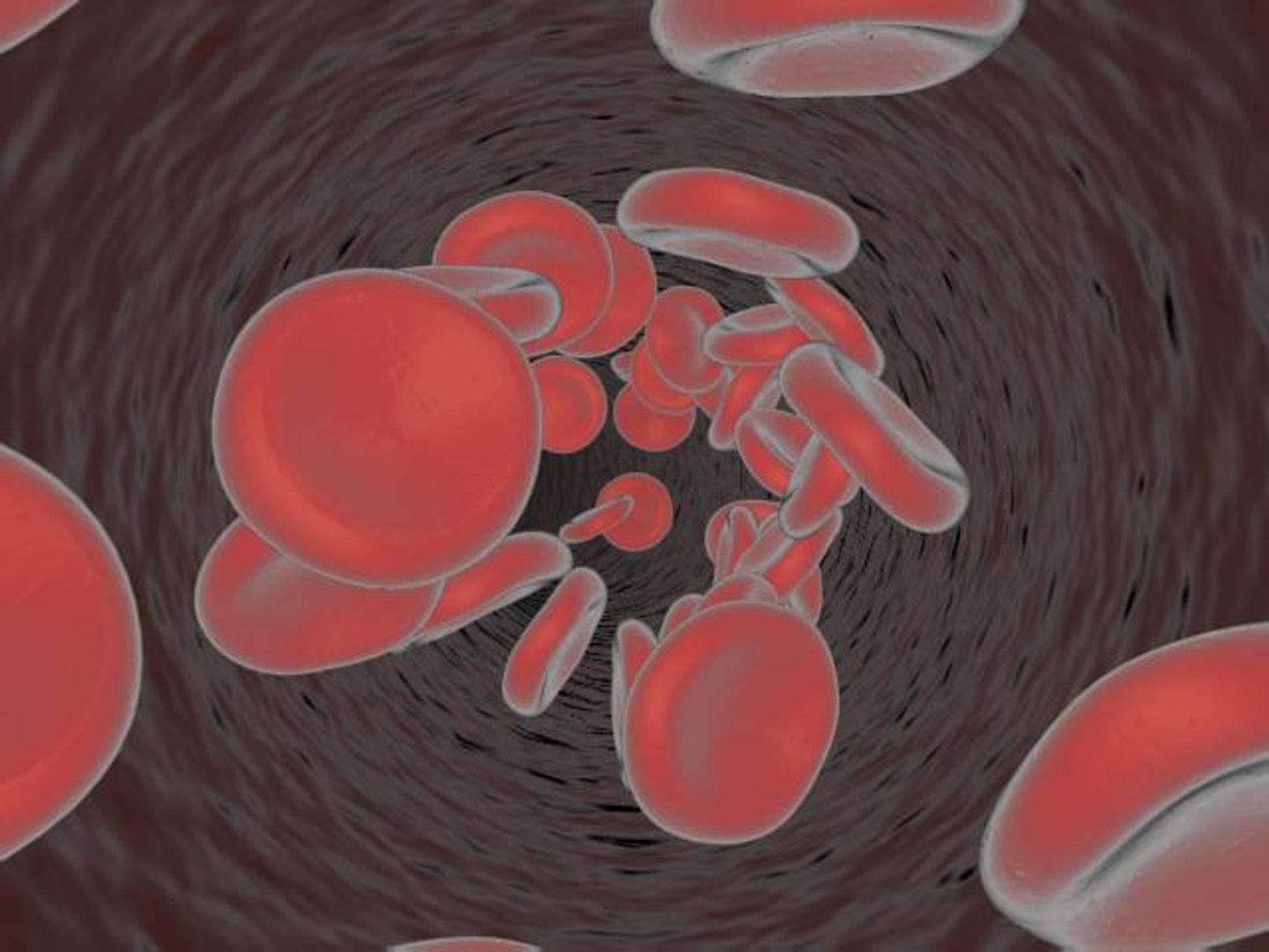 3d Model Artery Animation