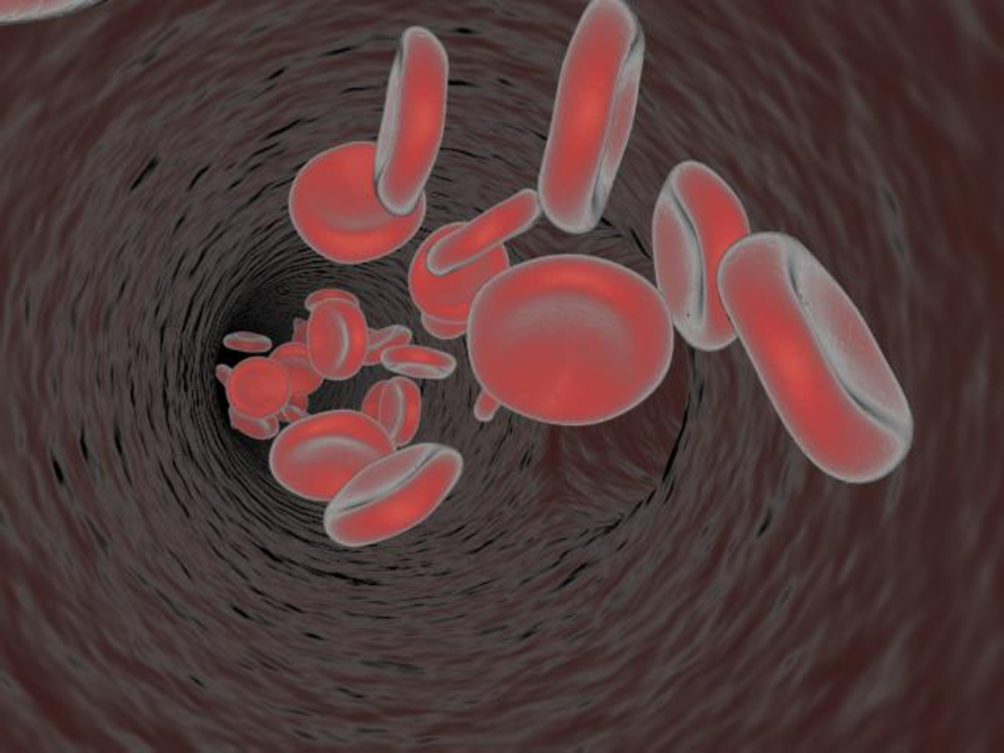 3d model artery animation