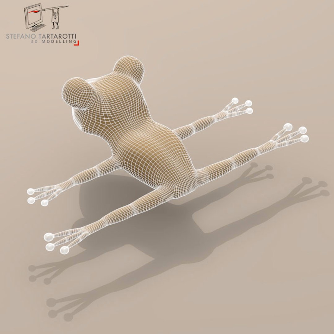Frog Character 3d Model