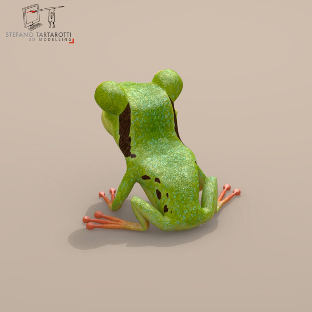 Frog Character 3d Model