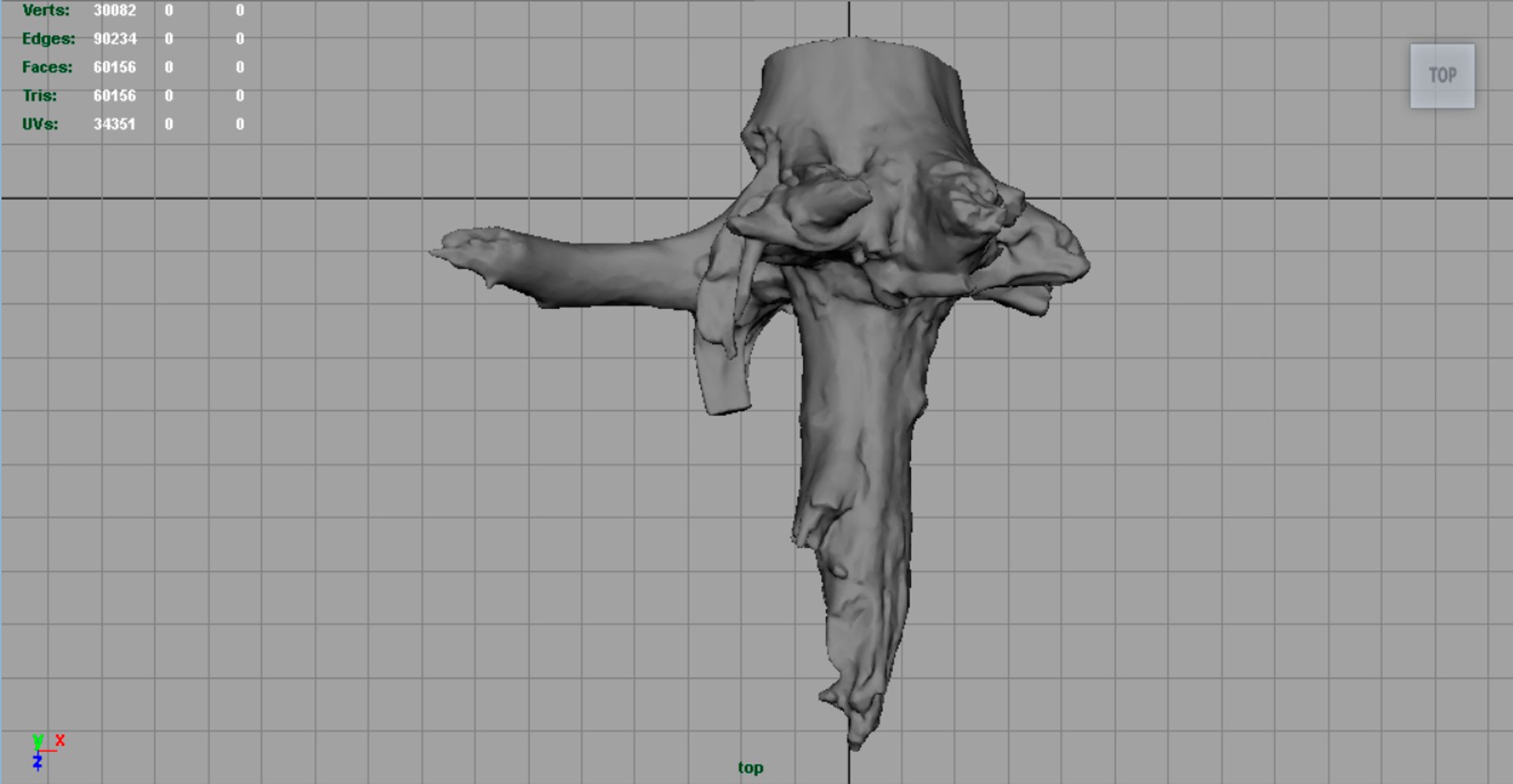 Dead Trunk 3D Model - TurboSquid 1160661