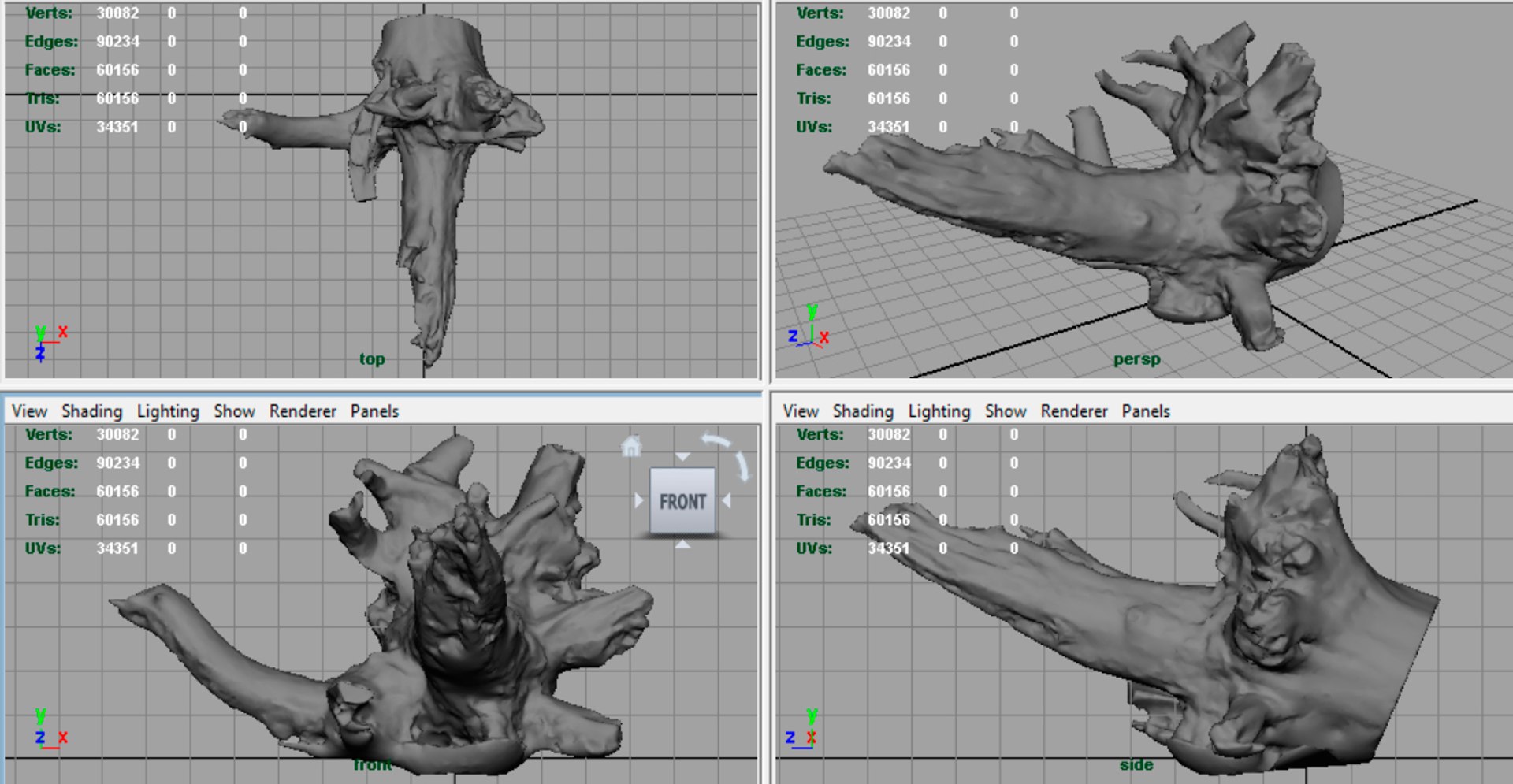 Dead Trunk 3D Model - TurboSquid 1160661