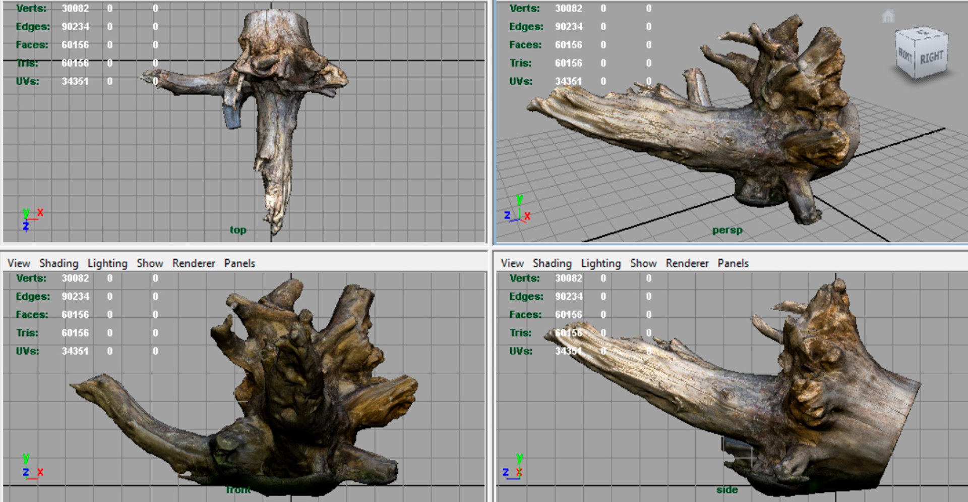 Dead Trunk 3D Model - TurboSquid 1160661