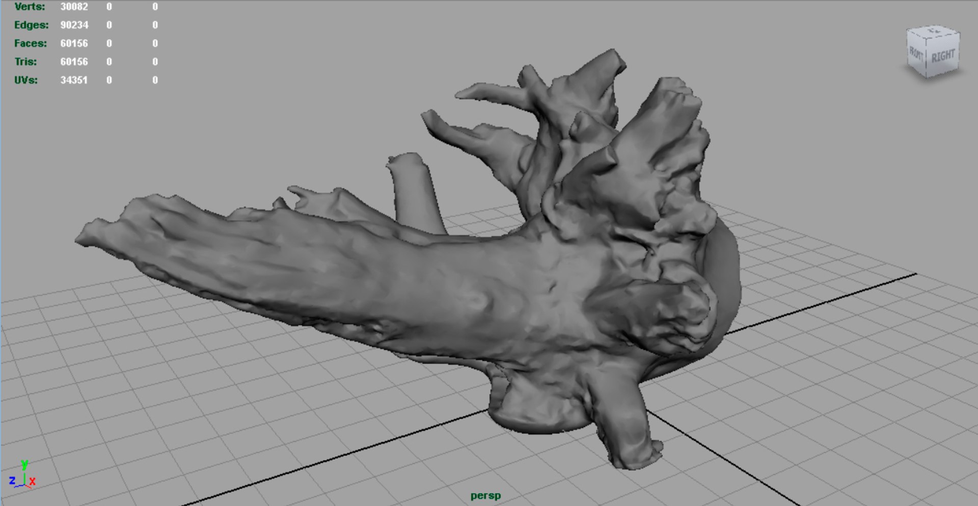 Dead Trunk 3D Model - TurboSquid 1160661