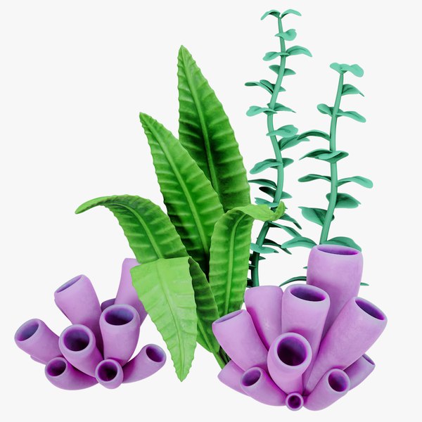 3D Algae Models | TurboSquid