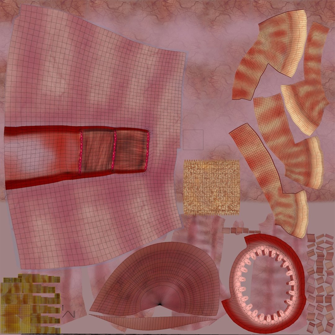 Human Intestine 3D Model - TurboSquid 1520211