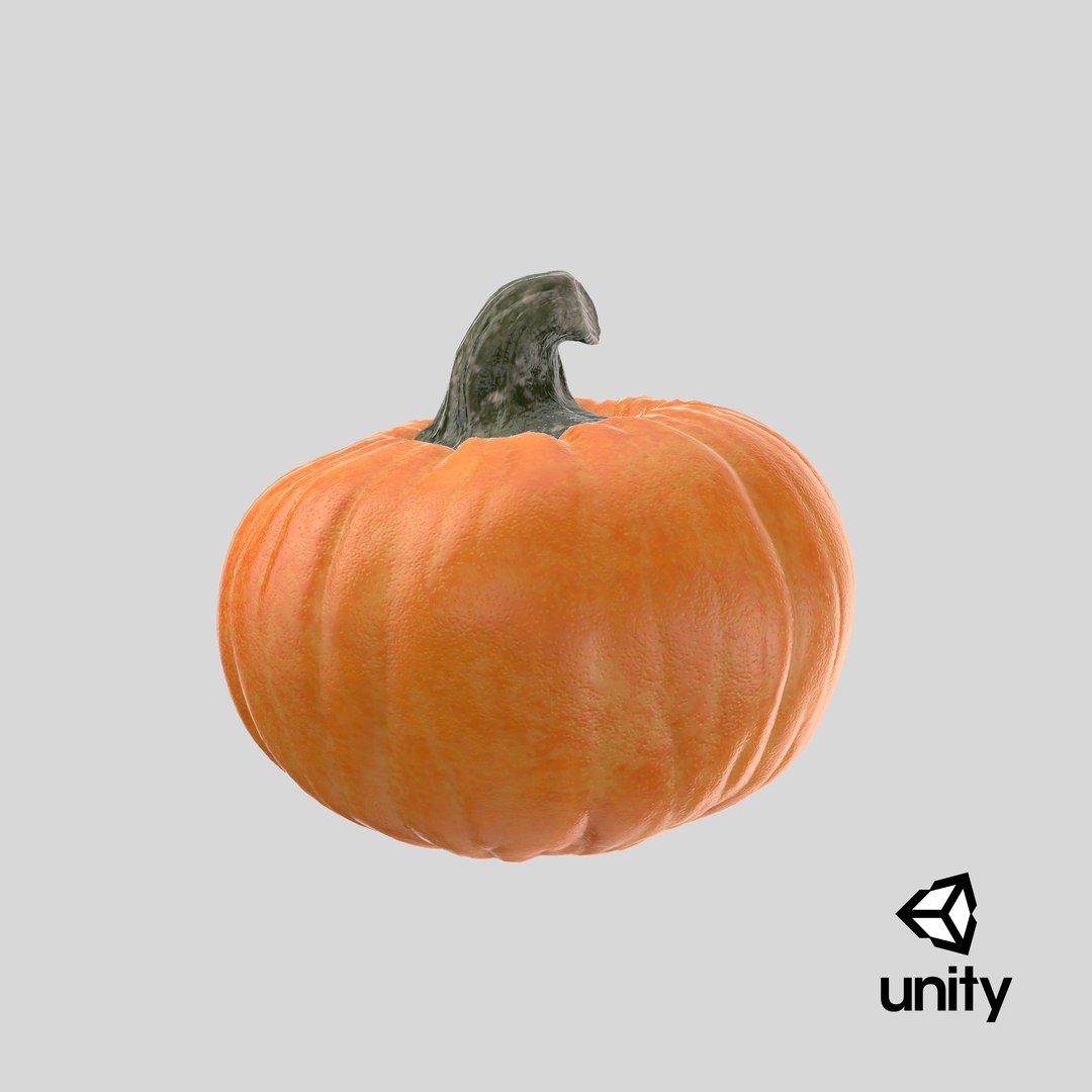 3D Pumpkin-patch---02 - TurboSquid 1324271