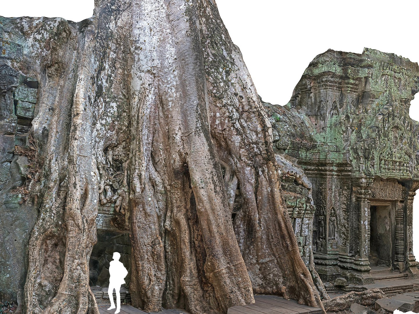 Ancient Tree Temple 16 Obj