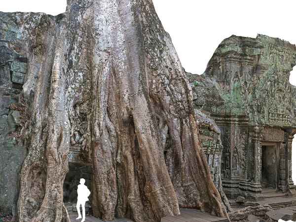 ancient tree temple 16 obj