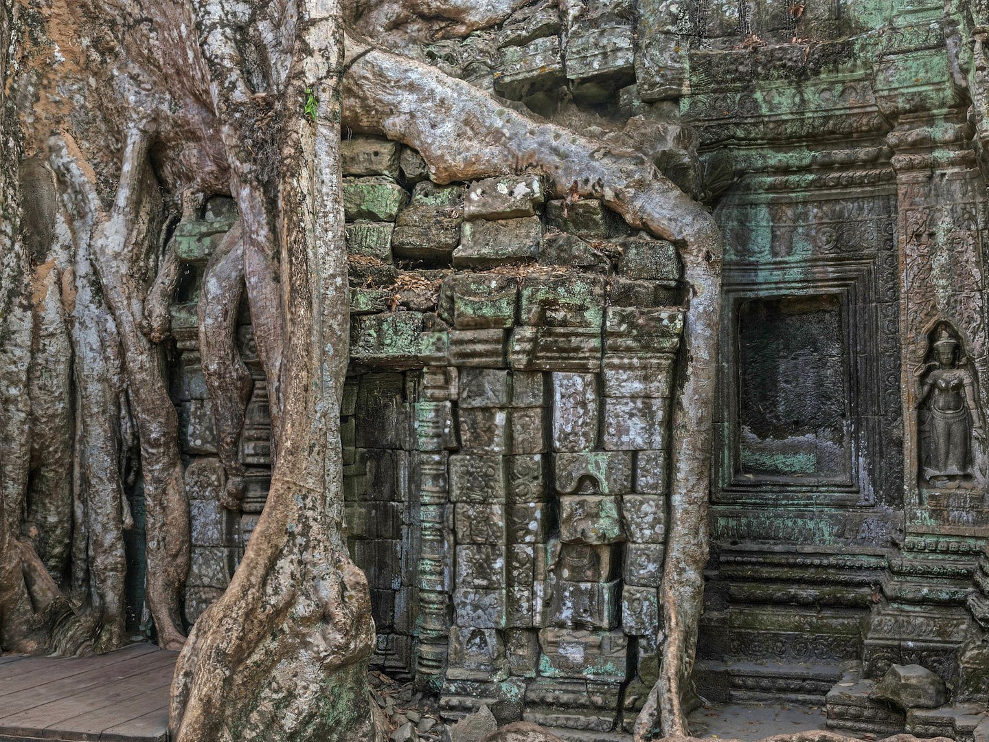 Ancient Tree Temple 16 Obj
