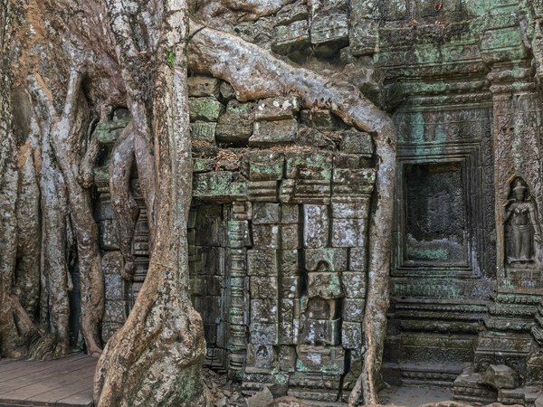 ancient tree temple 16 obj