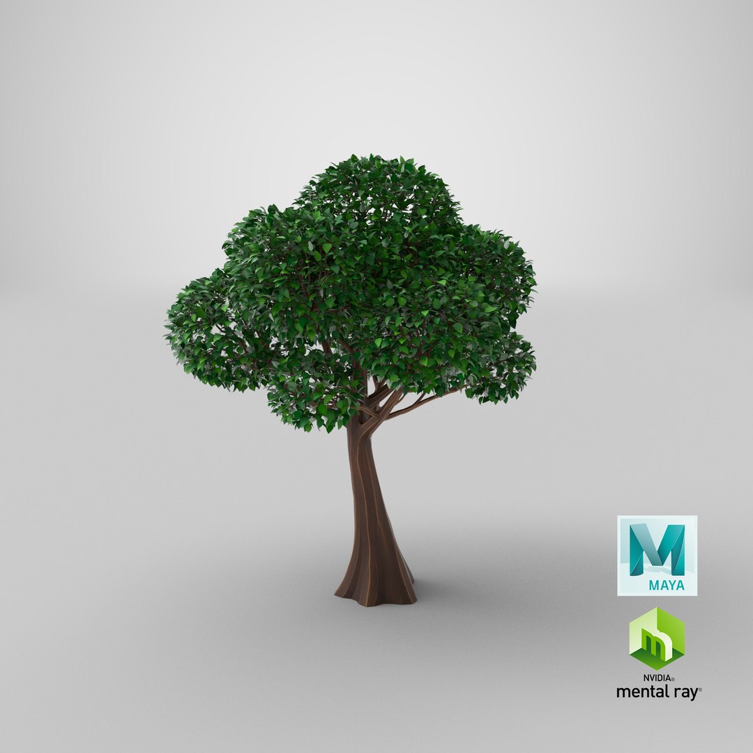 Cartoon Tree 3 3D model - TurboSquid 1920466