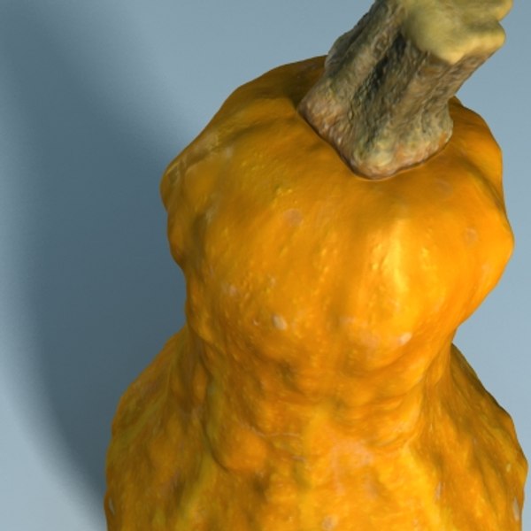 3d gourd res