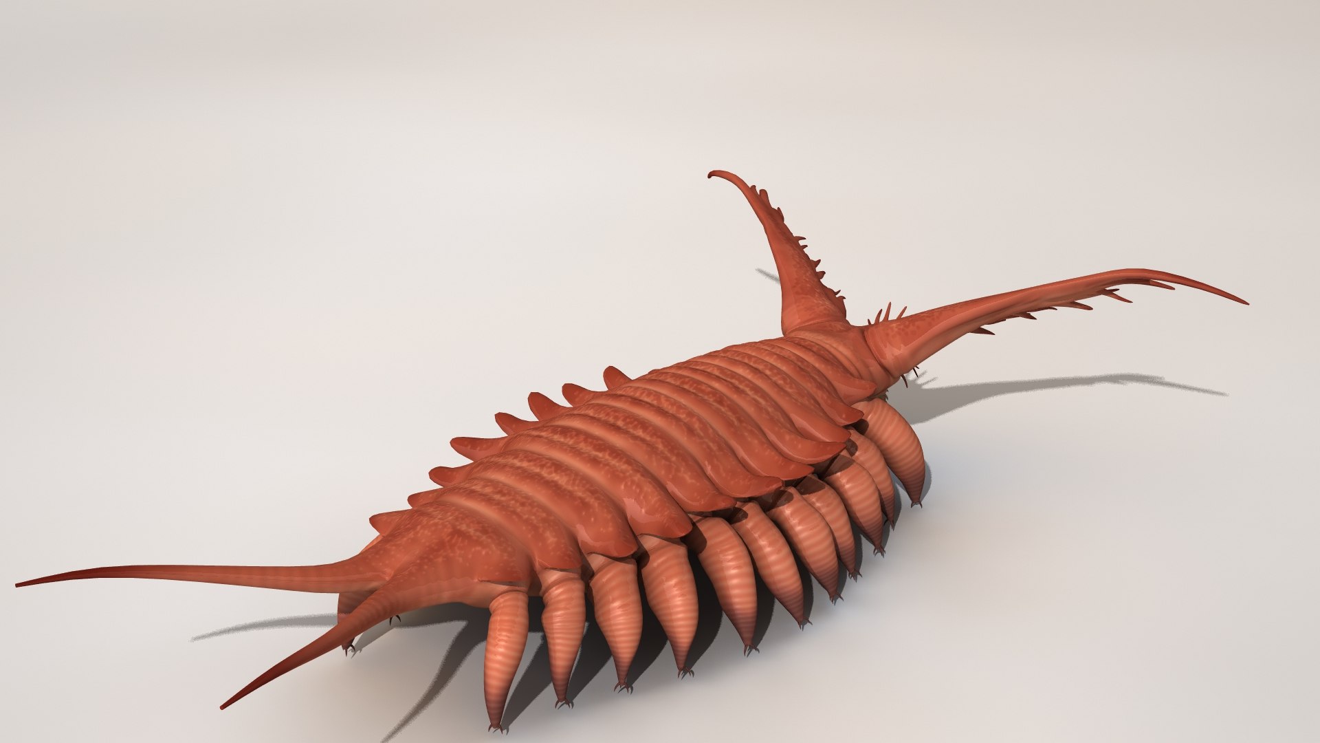 Omnidens Amplus 3D Model - TurboSquid 2099367