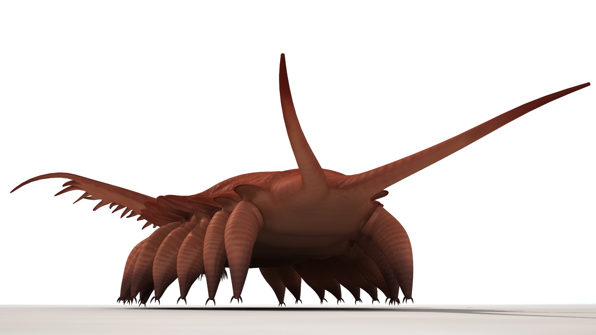 Omnidens Amplus 3D Model - TurboSquid 2099367
