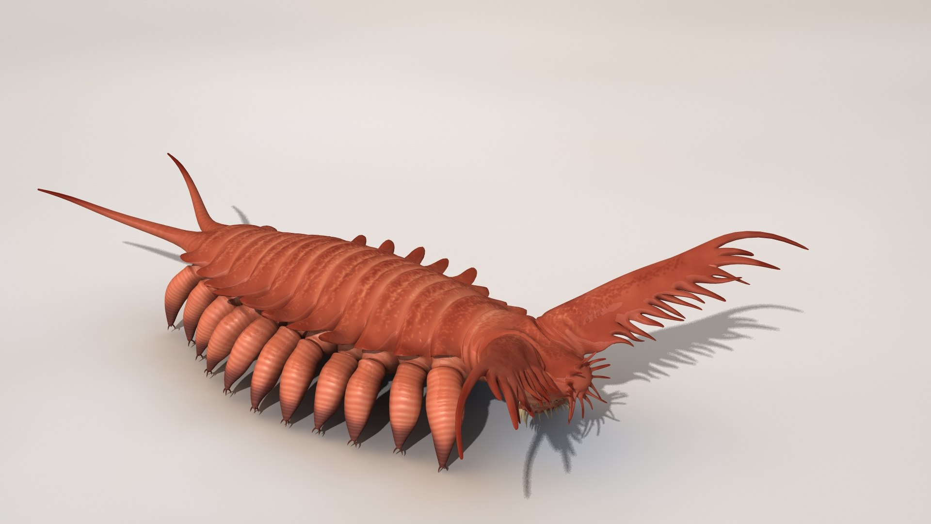 Omnidens Amplus 3D Model - TurboSquid 2099367