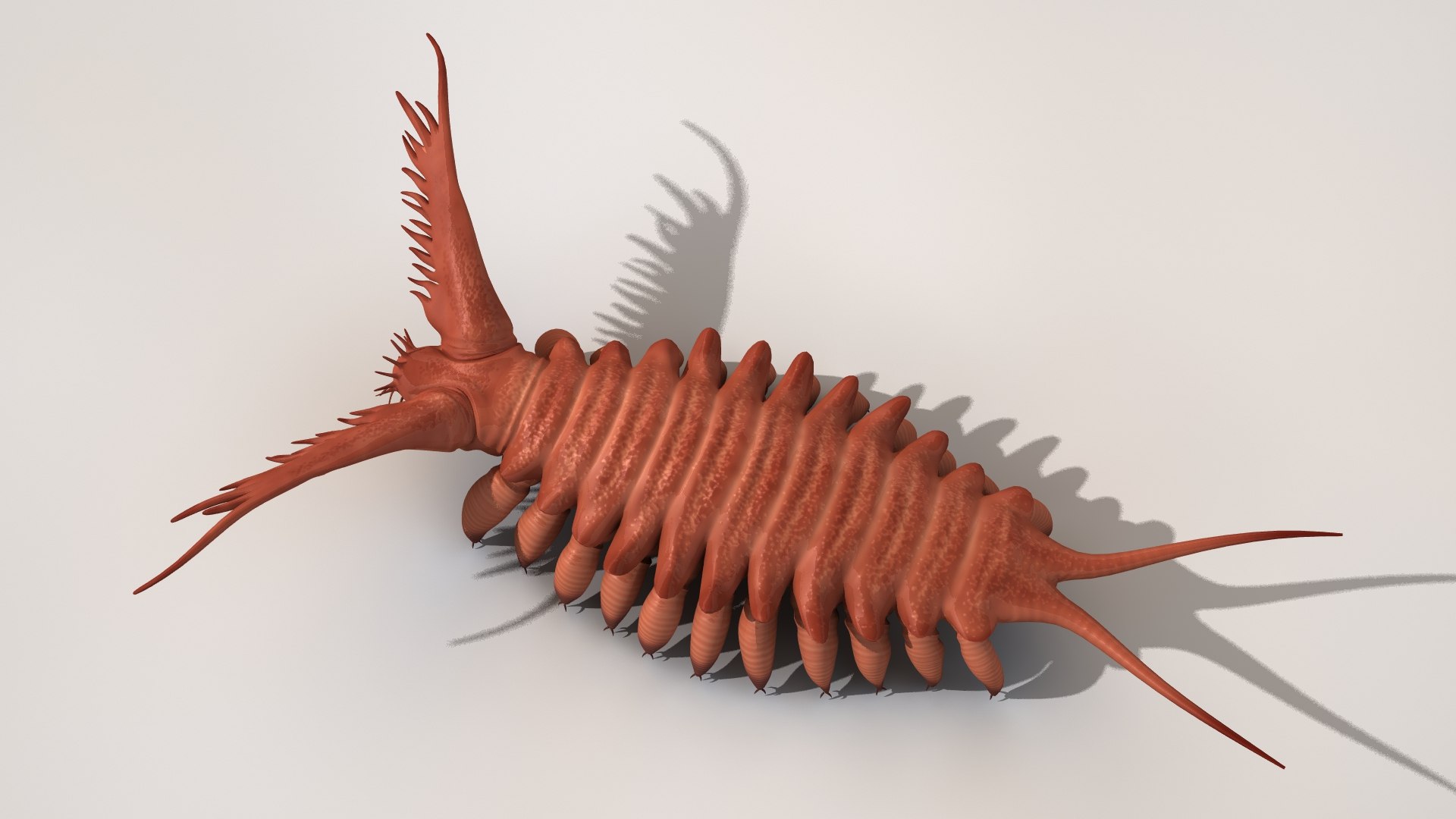 Omnidens Amplus 3D Model - TurboSquid 2099367