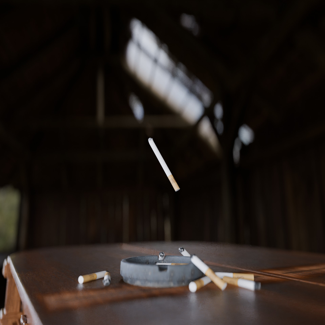 Realistic Cigarettes Collection 3D - TurboSquid 2198035