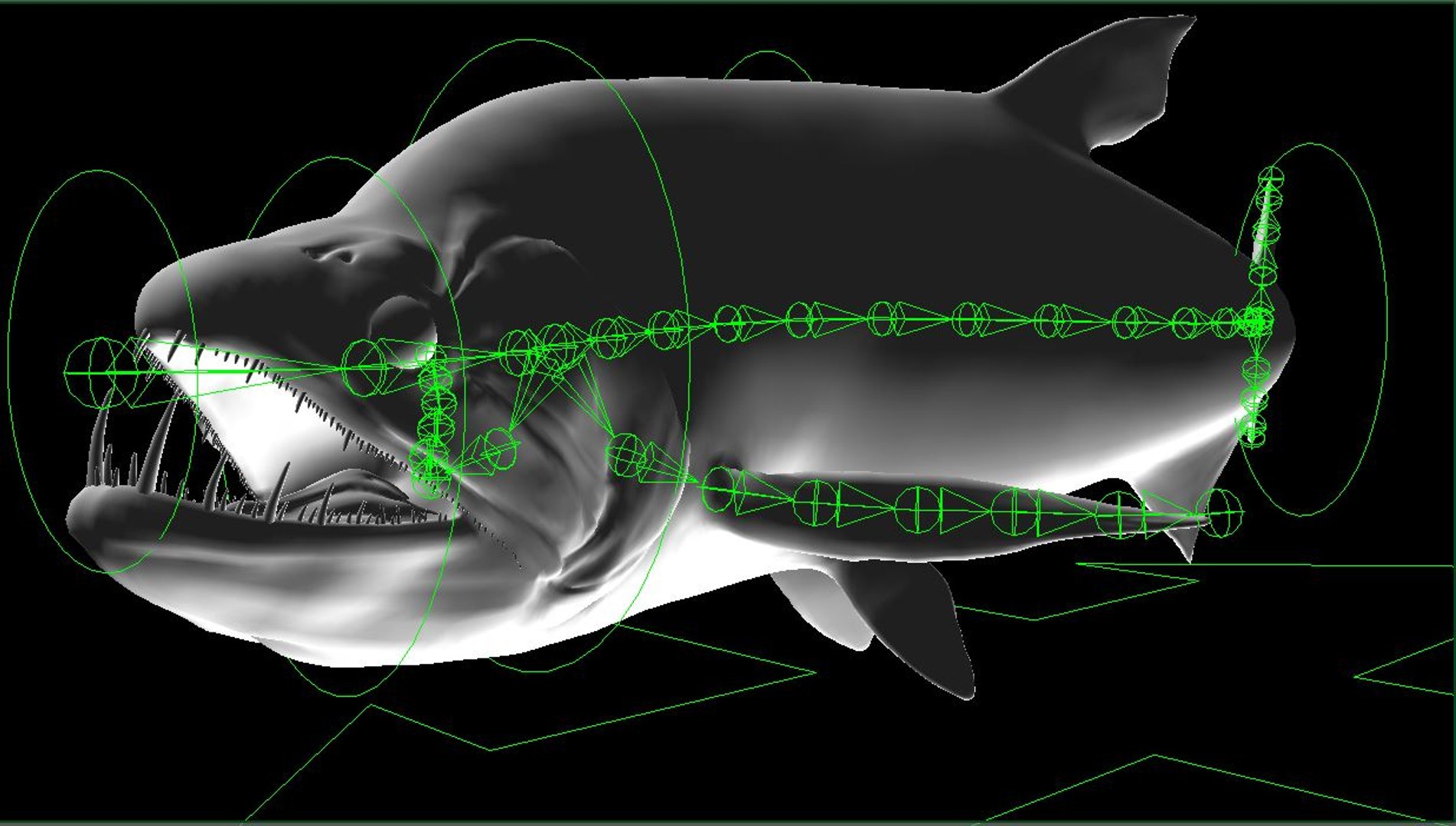 3d model of payara vampire fish